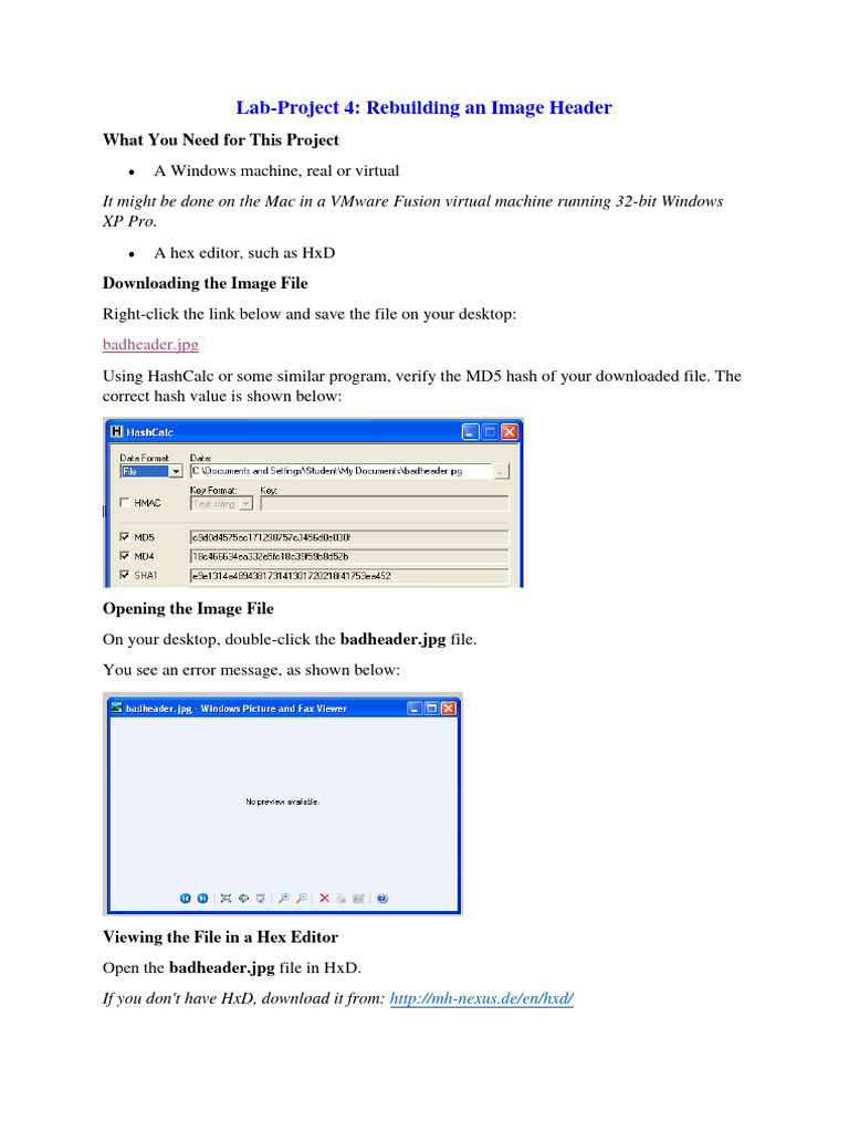 Lab 04 | PDF | Microsoft Windows | Software