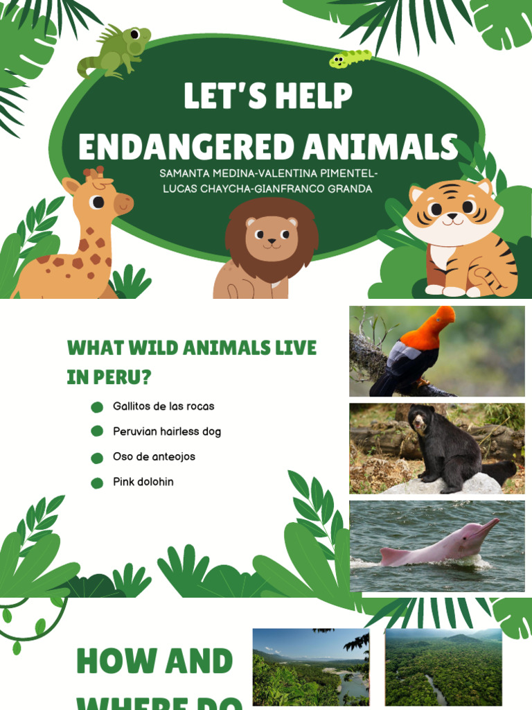 Let's Help Endangered Animals | PDF | Wellness