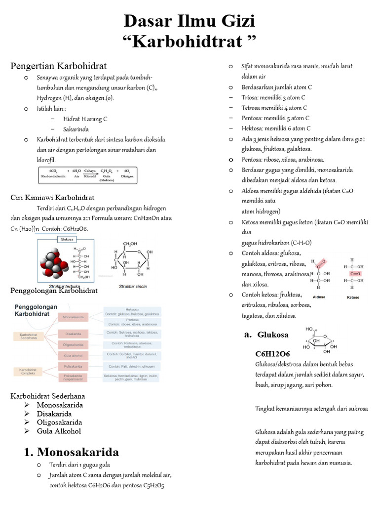 Catatan Dig Karbohidrat Pdf