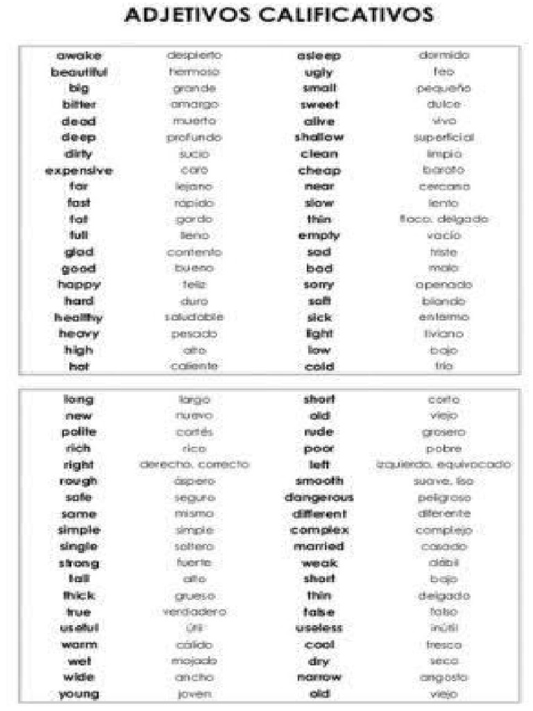 Verbos y Adjetivos | PDF