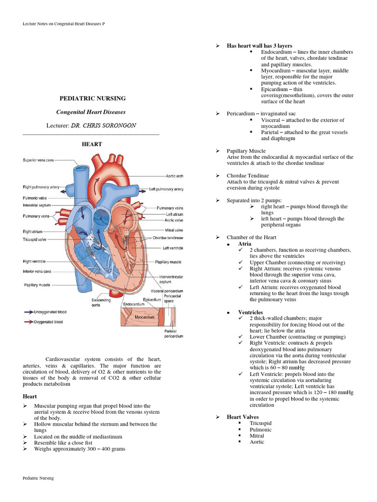 Congenital Heart Diseases | PDF | Heart | Atrium (Heart)