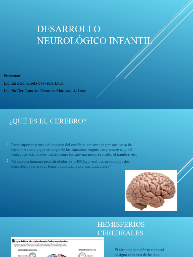 Desarrollo Neurológico Infantil | PDF | Hemisferio cerebral | Cerebro