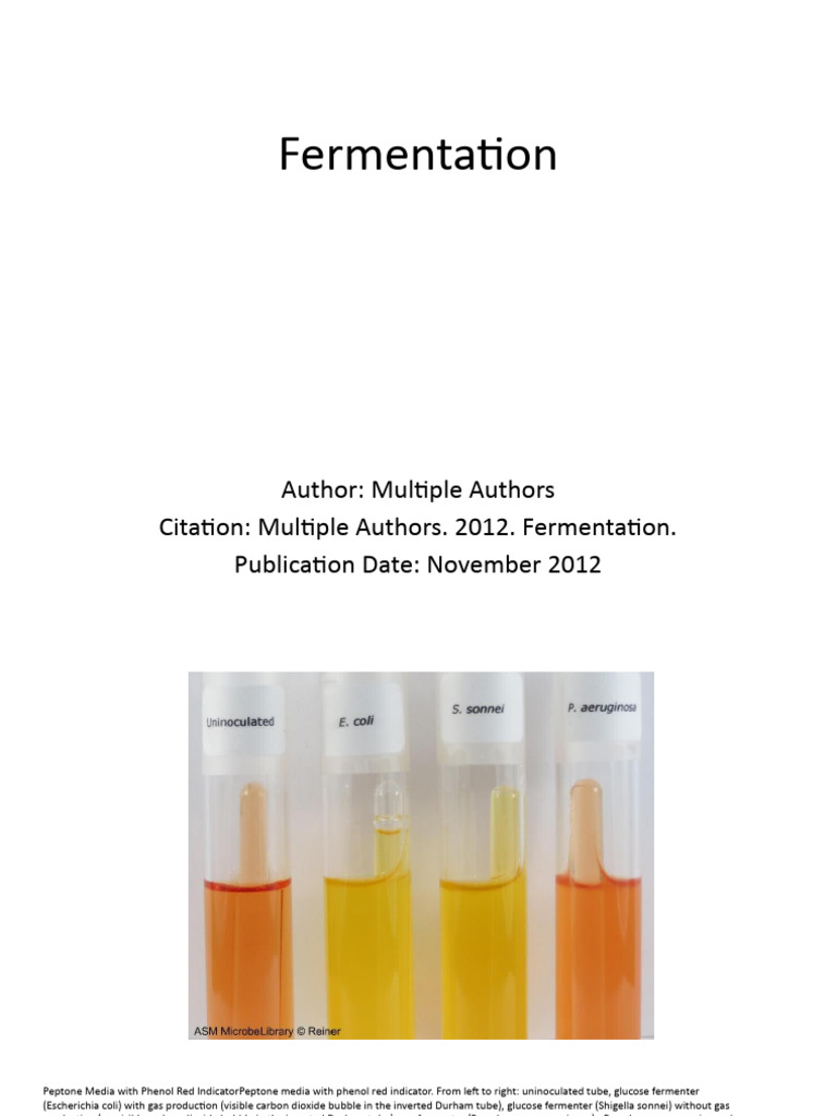 Carbohydrate Fermentation | PDF | Chemistry | Microbiology