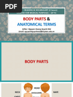 Directional Terms Worksheet | PDF | Anatomical Terms Of Location | Elbow
