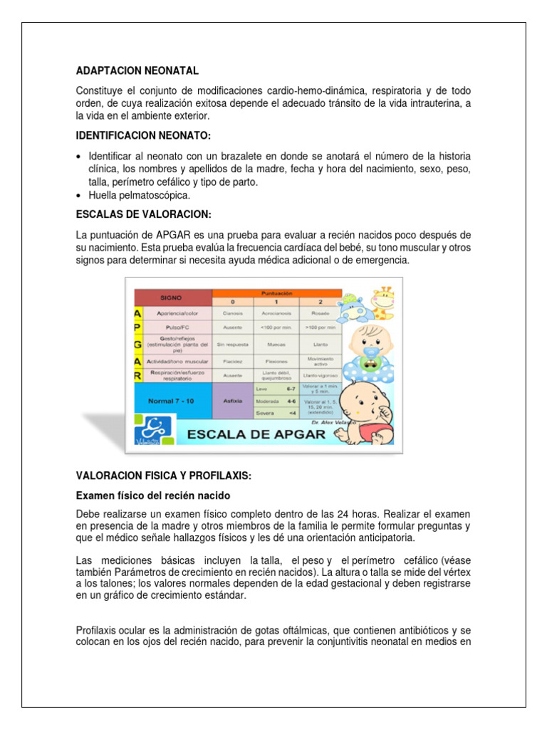 Adaptacion Neonatal PDF | Descargar gratis PDF | Infantes | Parto