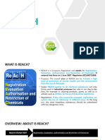 Variegated Leaf Expt | PDF | Leaf | Photosynthesis