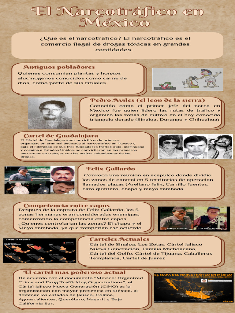 El Narcotrafico en Mexico | PDF