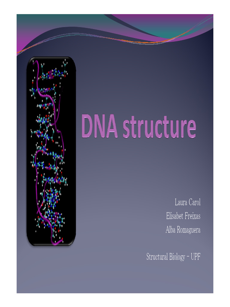 DNA Structure | PDF | Dna | Nucleotides
