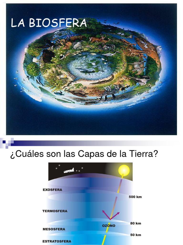 DS 2 - 4 Biosfera 2023 | PDF