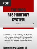 Frog Respiratory System Explained | PDF | Cellular Respiration | Larynx