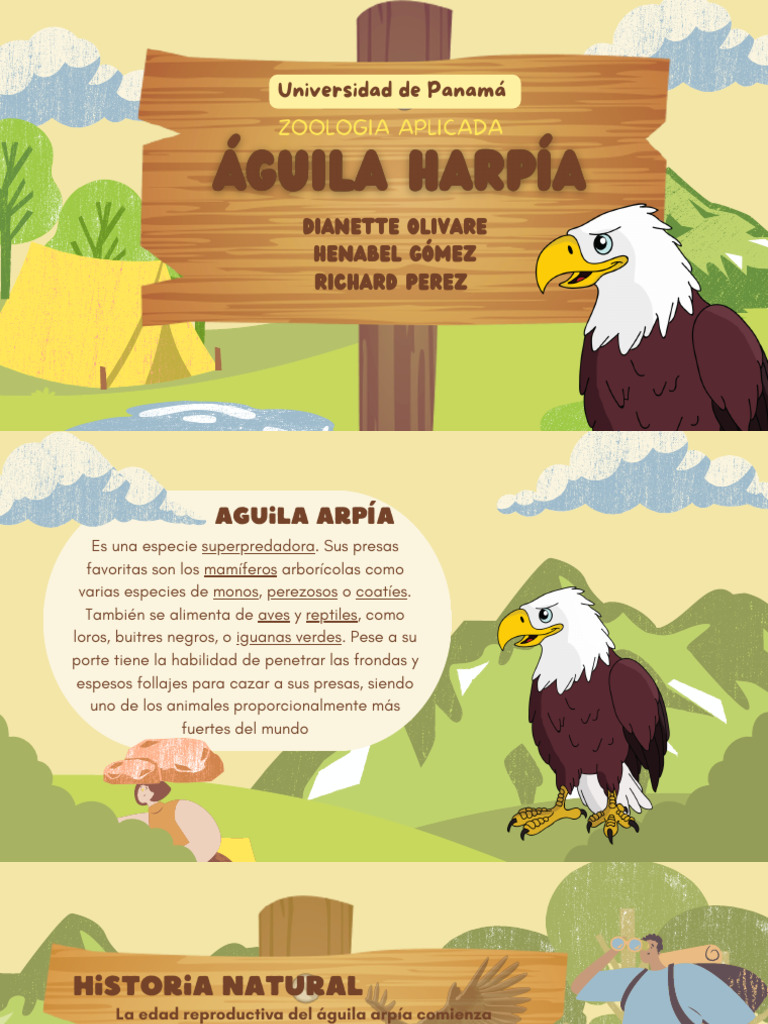 Aguila Harpía | PDF | Aves | Ornitología