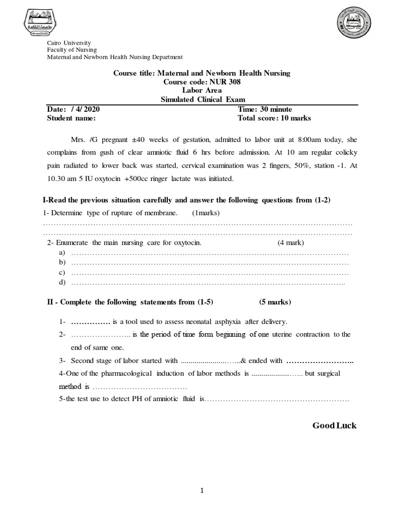 Labor 2 | PDF | Childbirth | Health Care