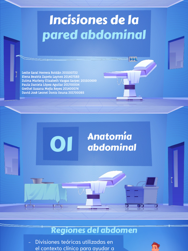 Incisiones de La Pared Abdominal | PDF | Abdomen | Intestino grueso