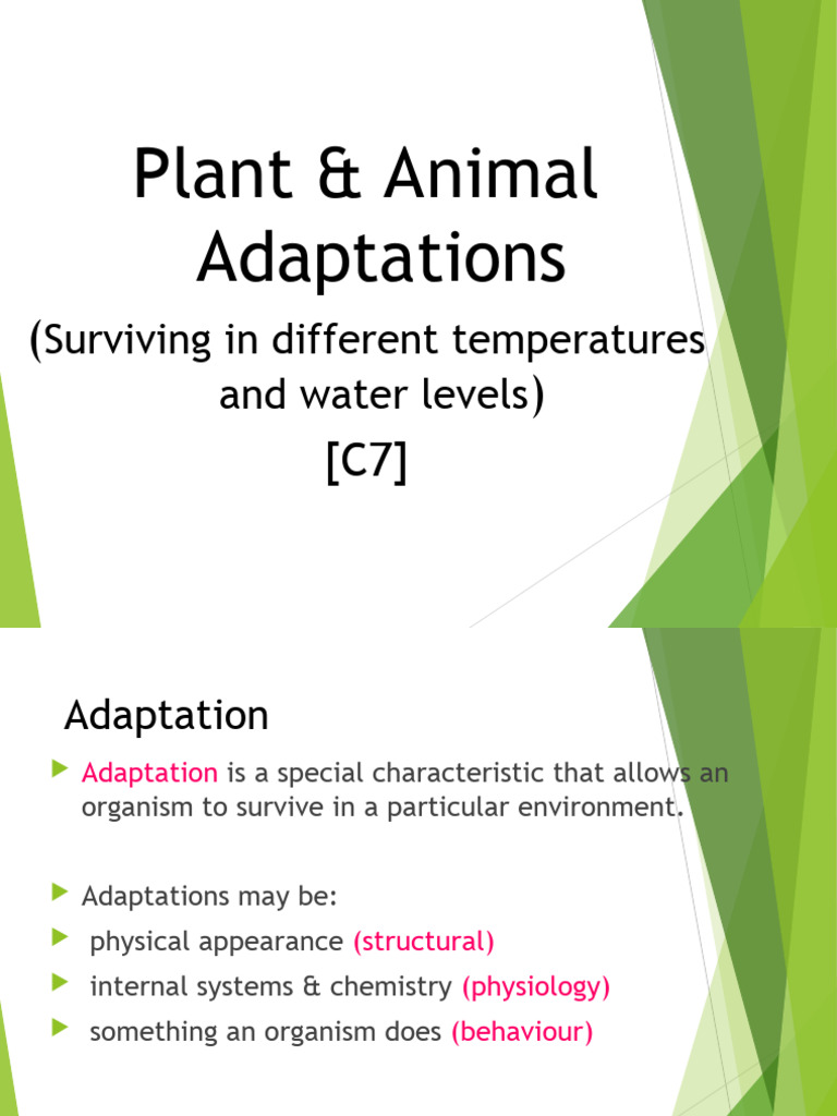 Adaptations - Plant & Animal in Hot-Cold, Wet-Dry | PDF | Adaptation ...