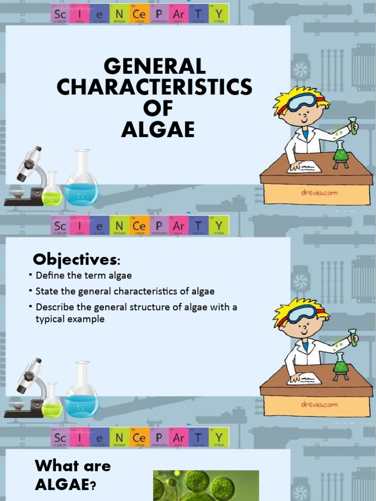 General Characteristics of Algae | PDF | Algae | Cell (Biology)