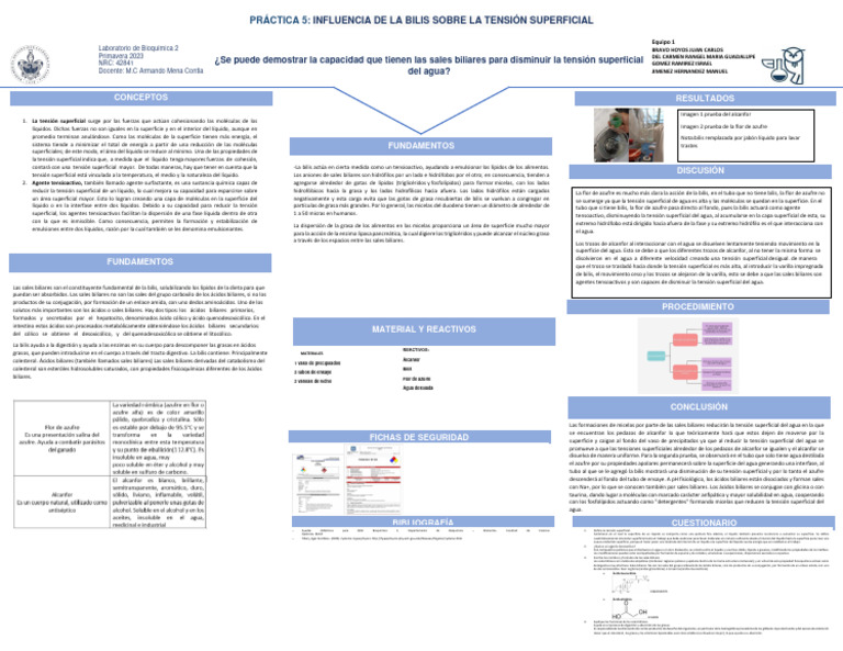 Práctica 5 Bioquimica | PDF | Bilis | Tensioactivo