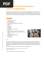 Extraction of DNA Onions | PDF | Cell (Biology) | Cell Nucleus