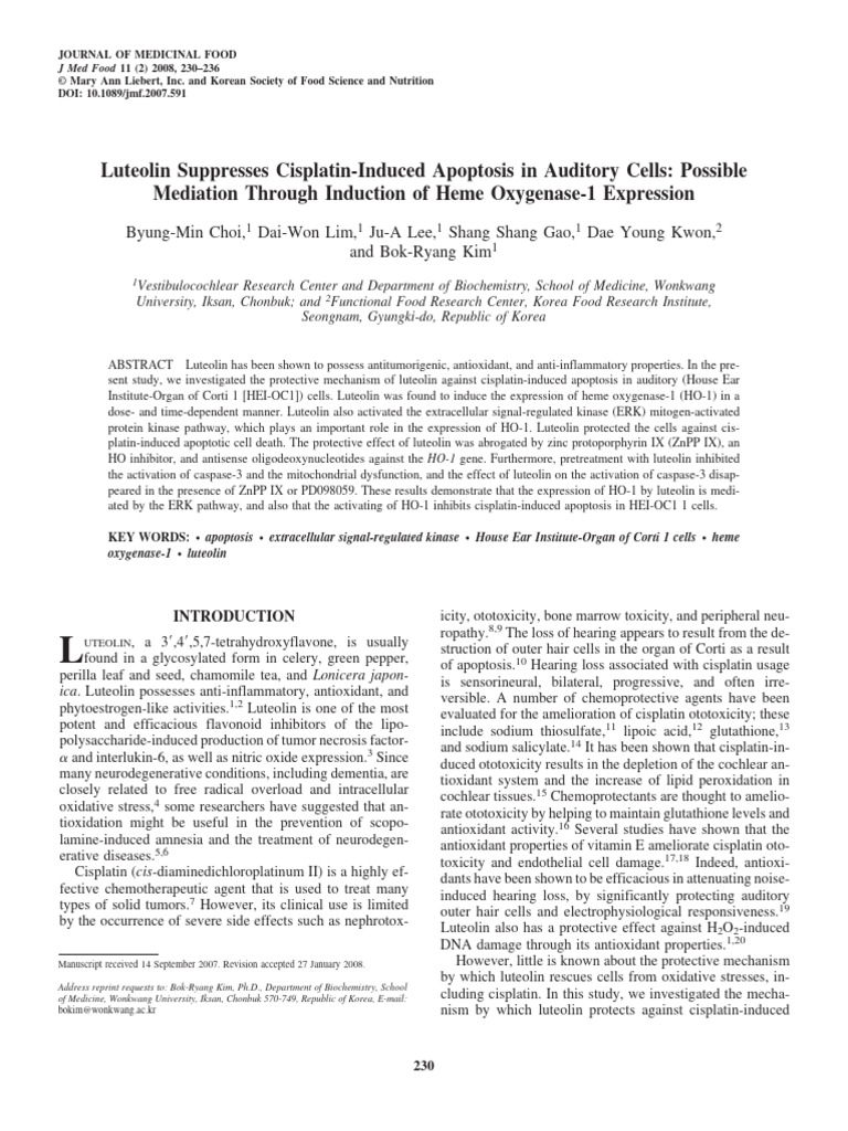 10.Luteolin Suppresses Cisplatin-Induced Apoptosis in Auditory Cells Possible Mediation Through ...