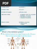 Skeletal System 206 Bones Comprehensive List | PDF | Skull ...