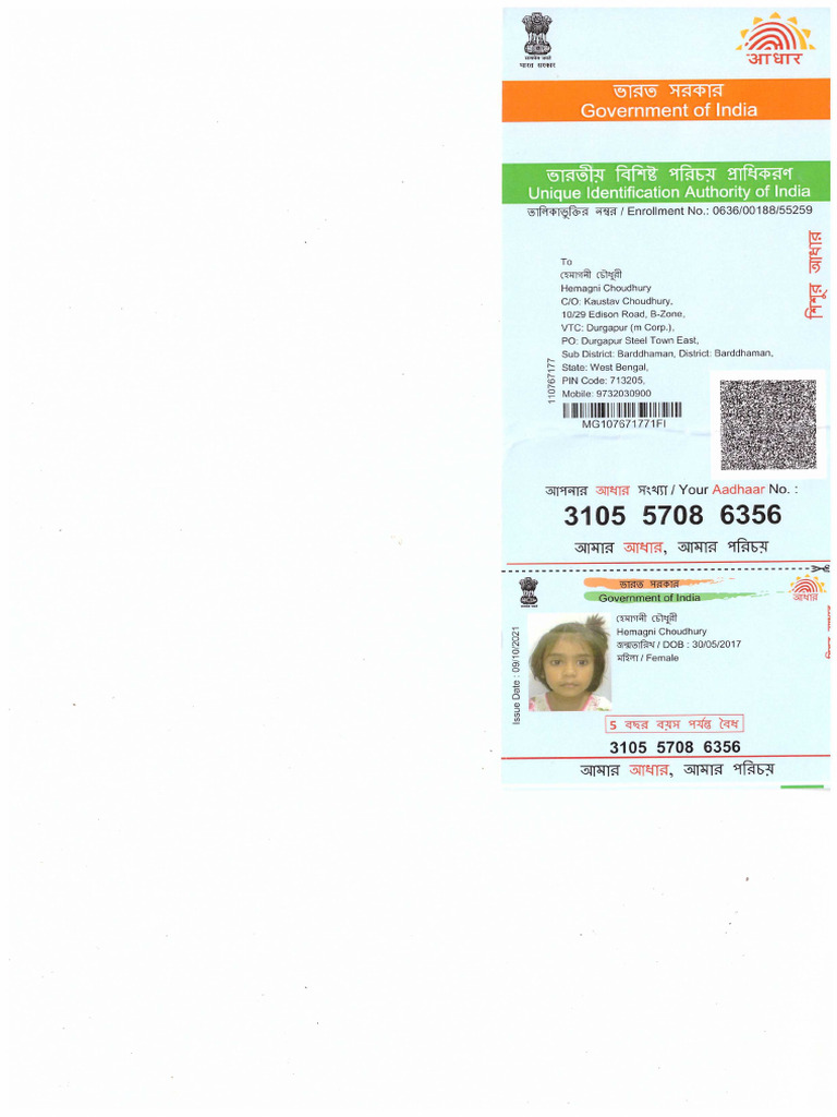 SCAN Aadhar Card Hemagni | PDF