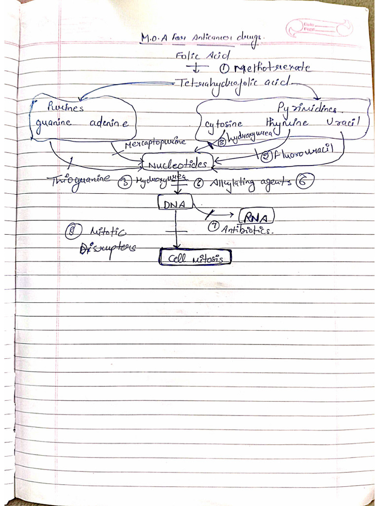 Anti-Cancer Moa | PDF