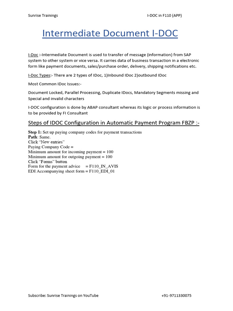 Idoc F110 Process | PDF | Accounts Payable | Payments