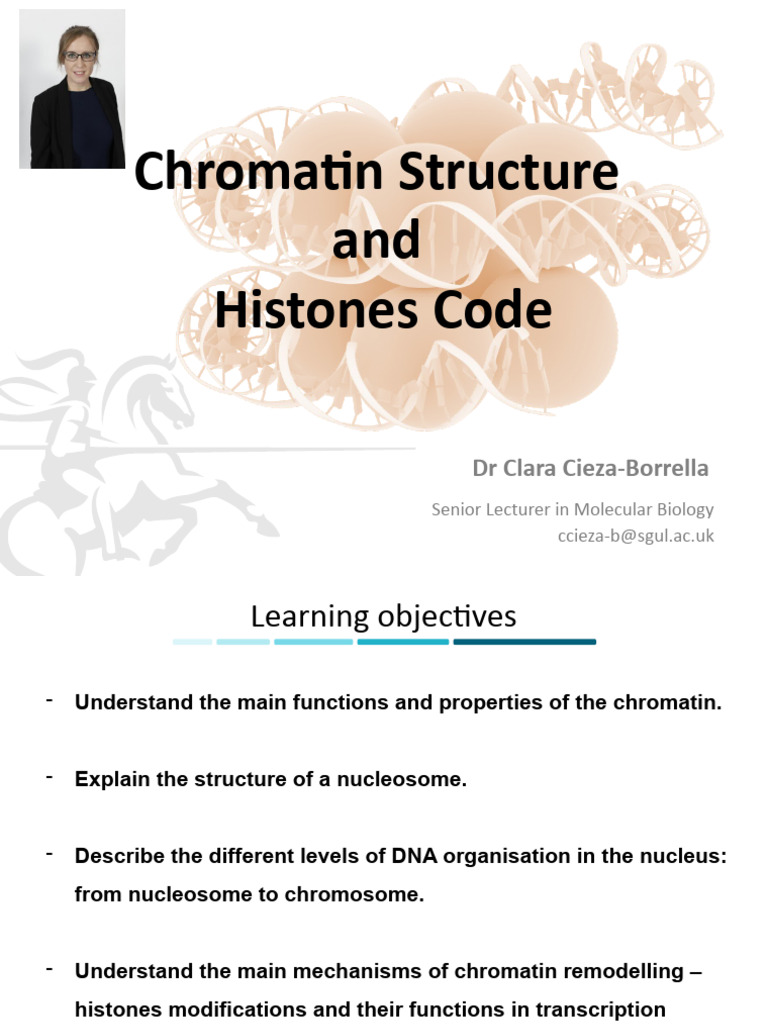 Chromatin Structure and Histones Code - CCB | PDF | Chromatin | Histone