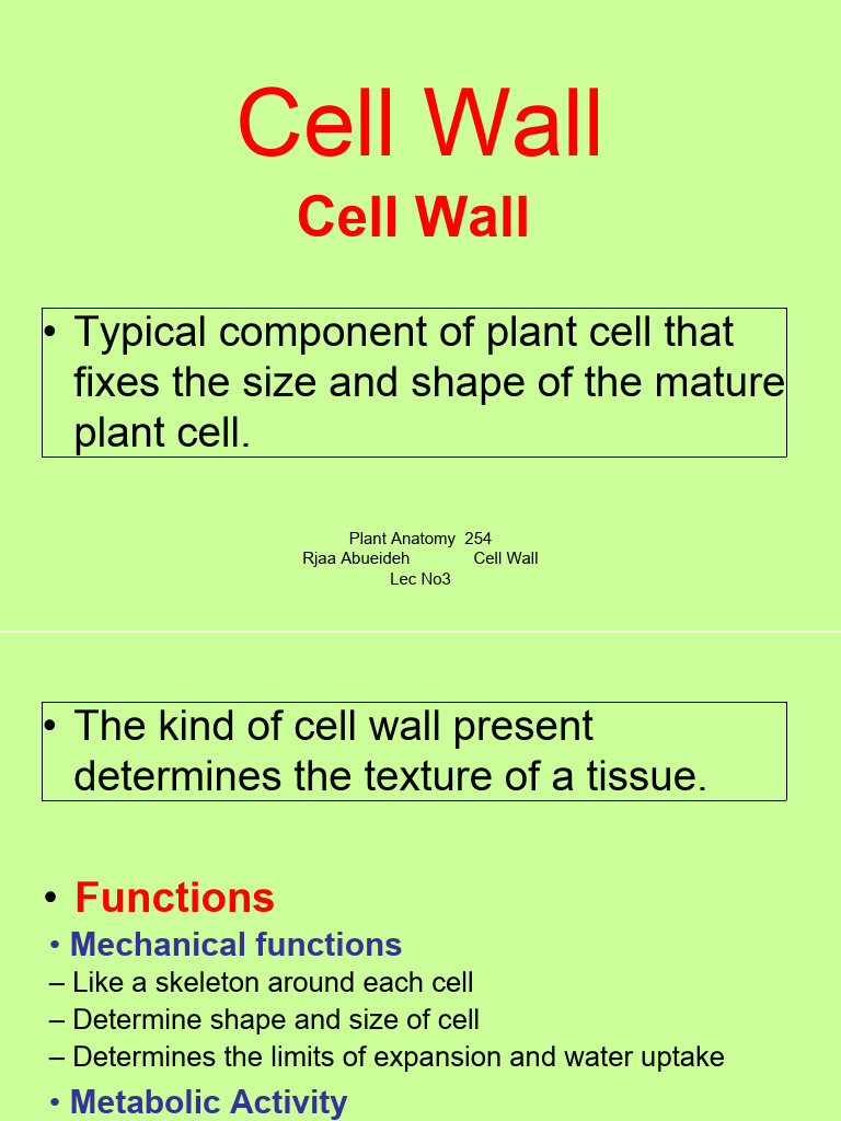 Cell Wall | PDF | Cell Wall | Cellulose