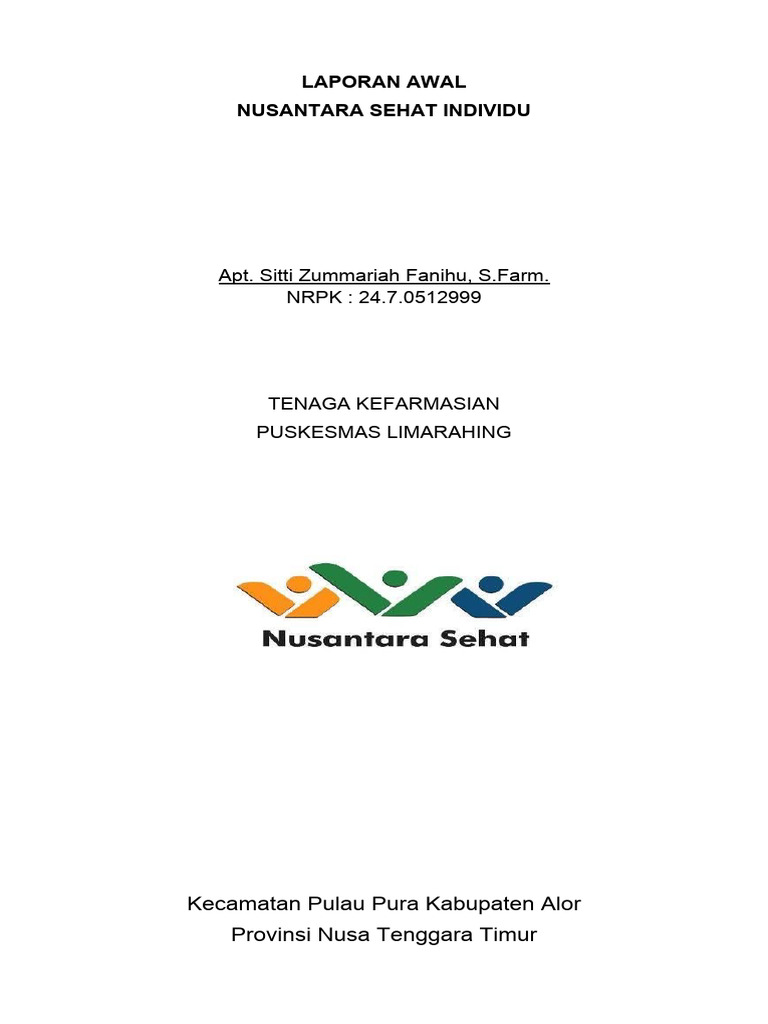 Laporan Awal NSI 2021 | PDF