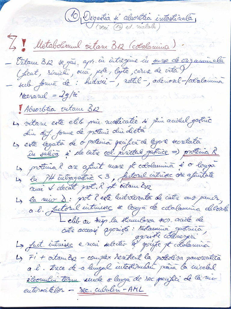 Digestia Si Absorbtia Intestinala | PDF