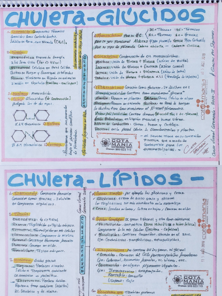 CHULETAS Cota 43planchas | PDF