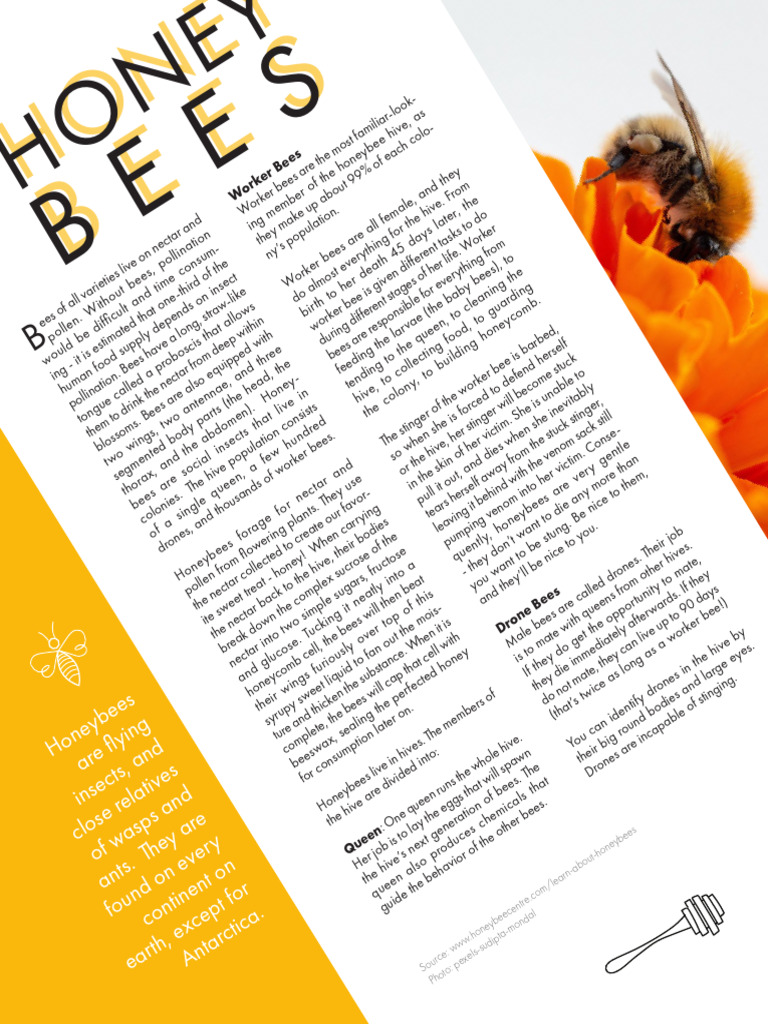 Honey Bees | PDF
