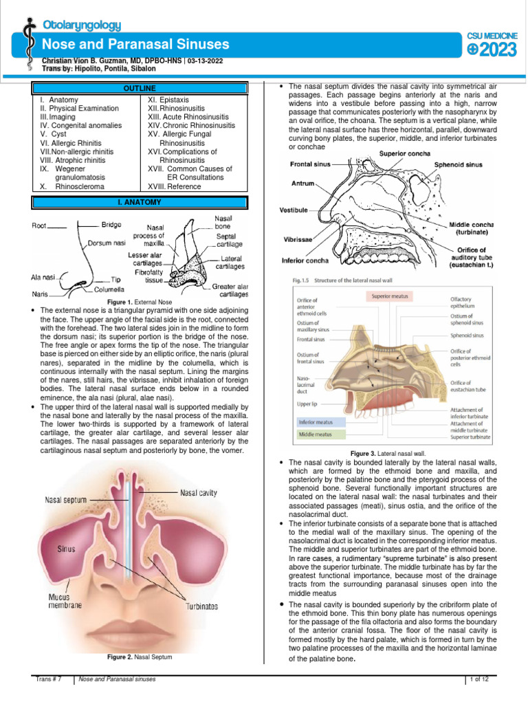 Anatomy and Disorders of Nose & Sinuses | PDF | Human Nose | Vein