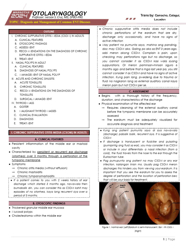 2024.ENT - Trans05.diagnosis and Management of Common ENT Diseases ...