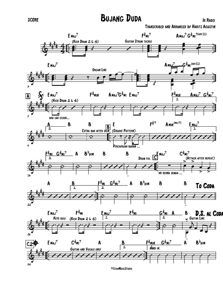 Bujang Duda - Ir Radzi | PDF