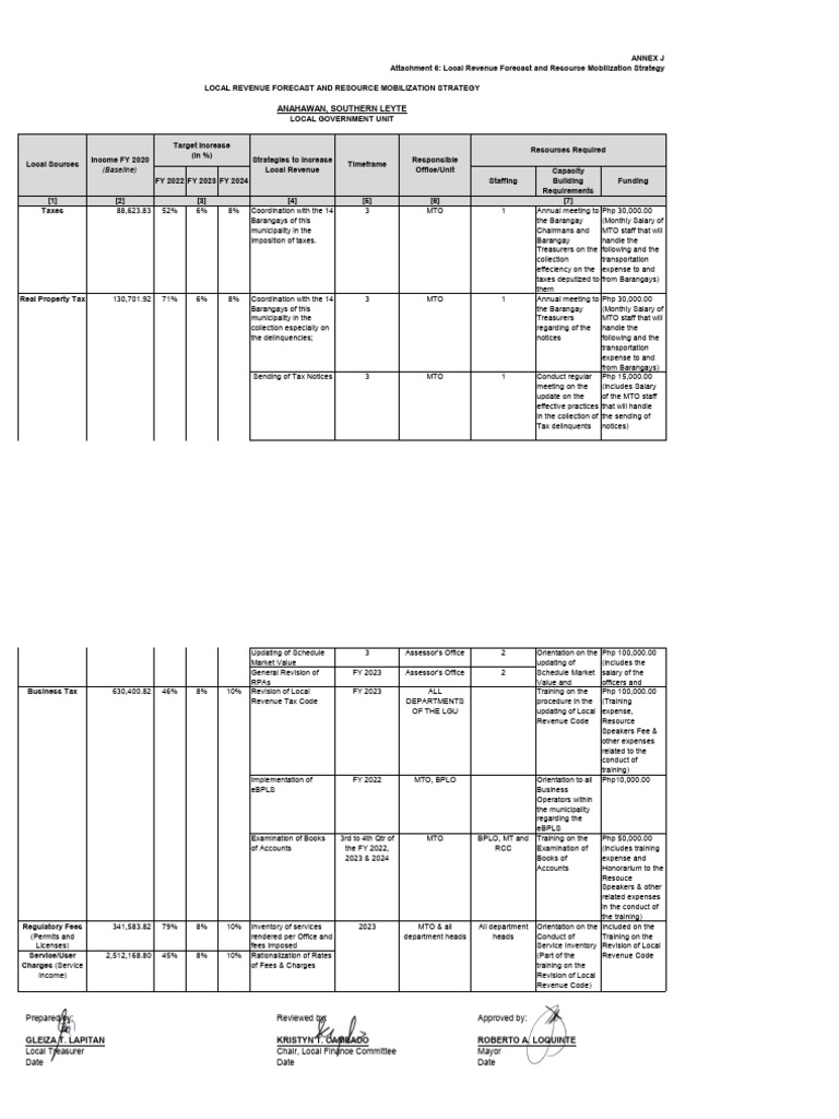 Local Revenue Mobilization Strategy | PDF | Taxes | Revenue