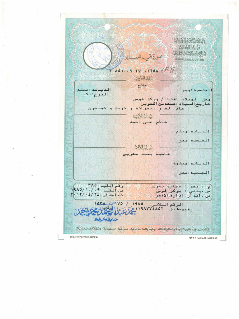 Born Certificate | PDF