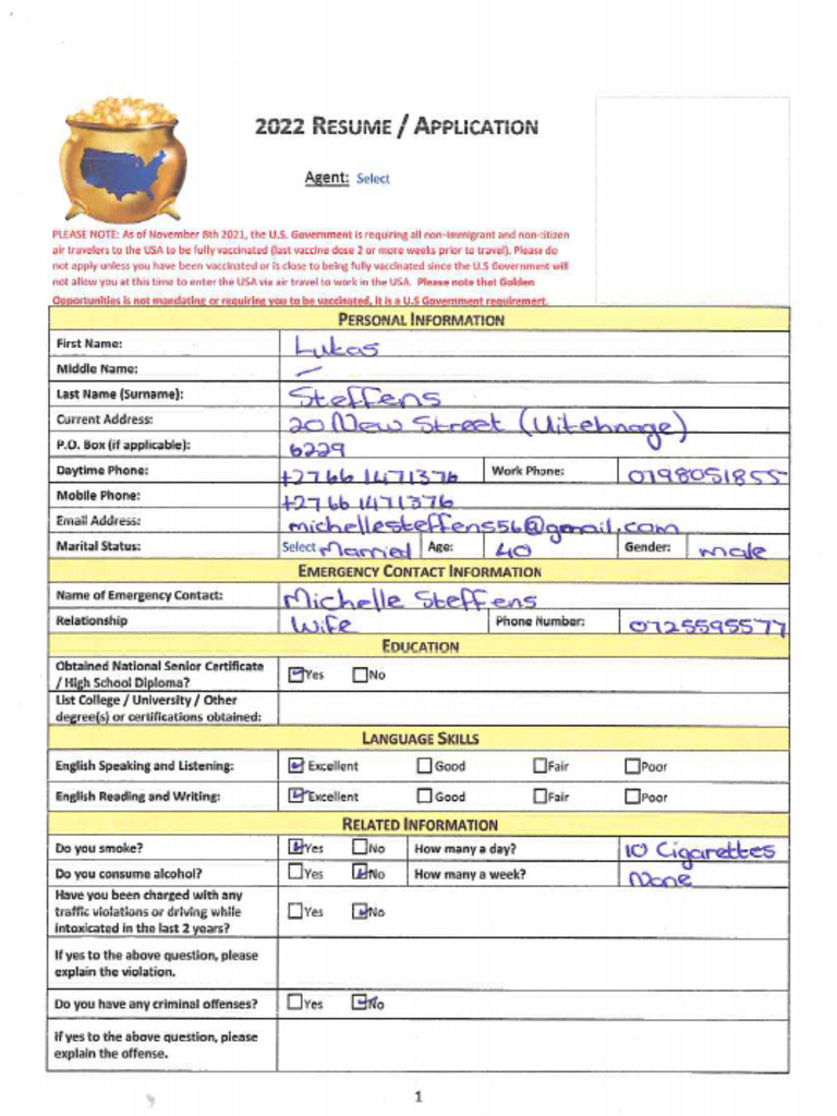 Lukas Steffens CV | PDF