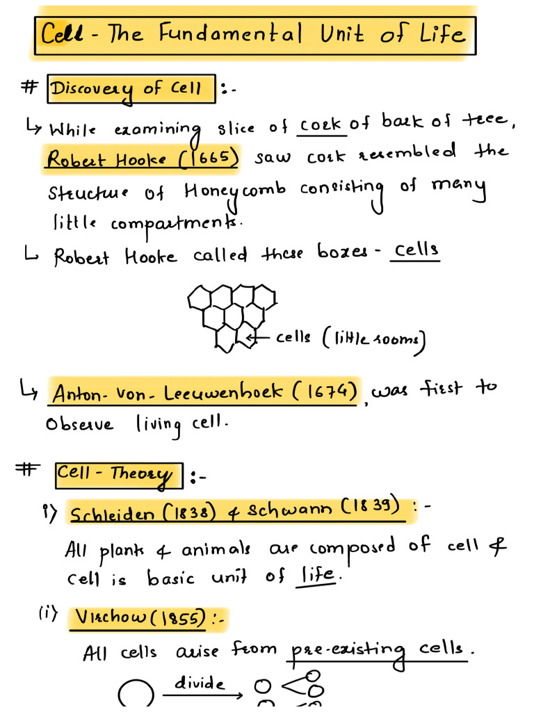 9th Cell - The Fundamental Unit of Life | PDF