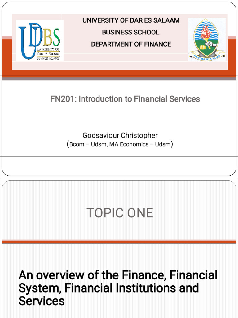 TOPIC 1 Introduction To FN201 | PDF | Banks | Securities (Finance)