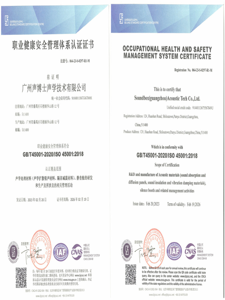 ISO Occupational Health and Safety Management System Certificate | PDF