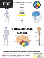 Resumen Capitulo 46 Guyton | PDF | Sinapsis | Neurona