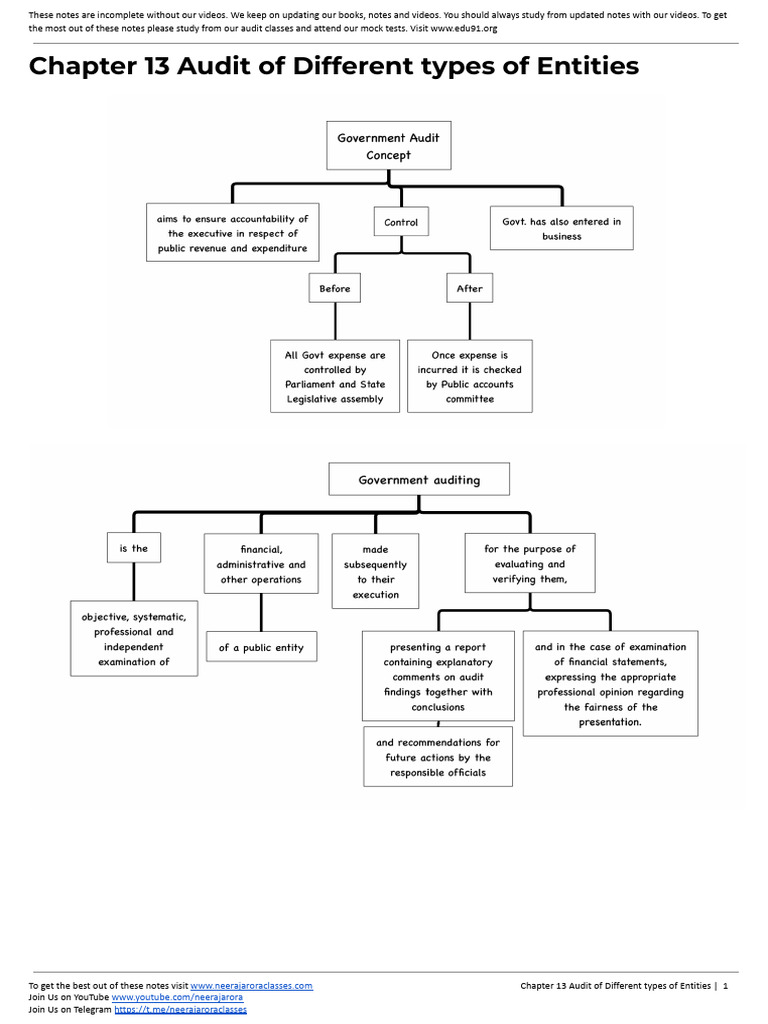 Audit of Different Types of Entities | PDF | Lease | Audit