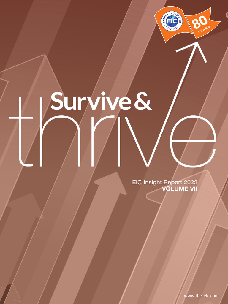 Survive Thrive VII | PDF | Supply Chain | Recession