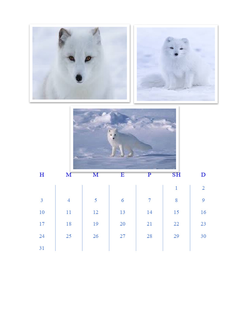 Muaji Janar Projekt Kalendari+ | PDF