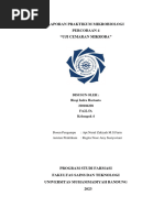 Laporan Mikrobiologi - Uji Cemaran Mikroba Alt Dan Akk | PDF
