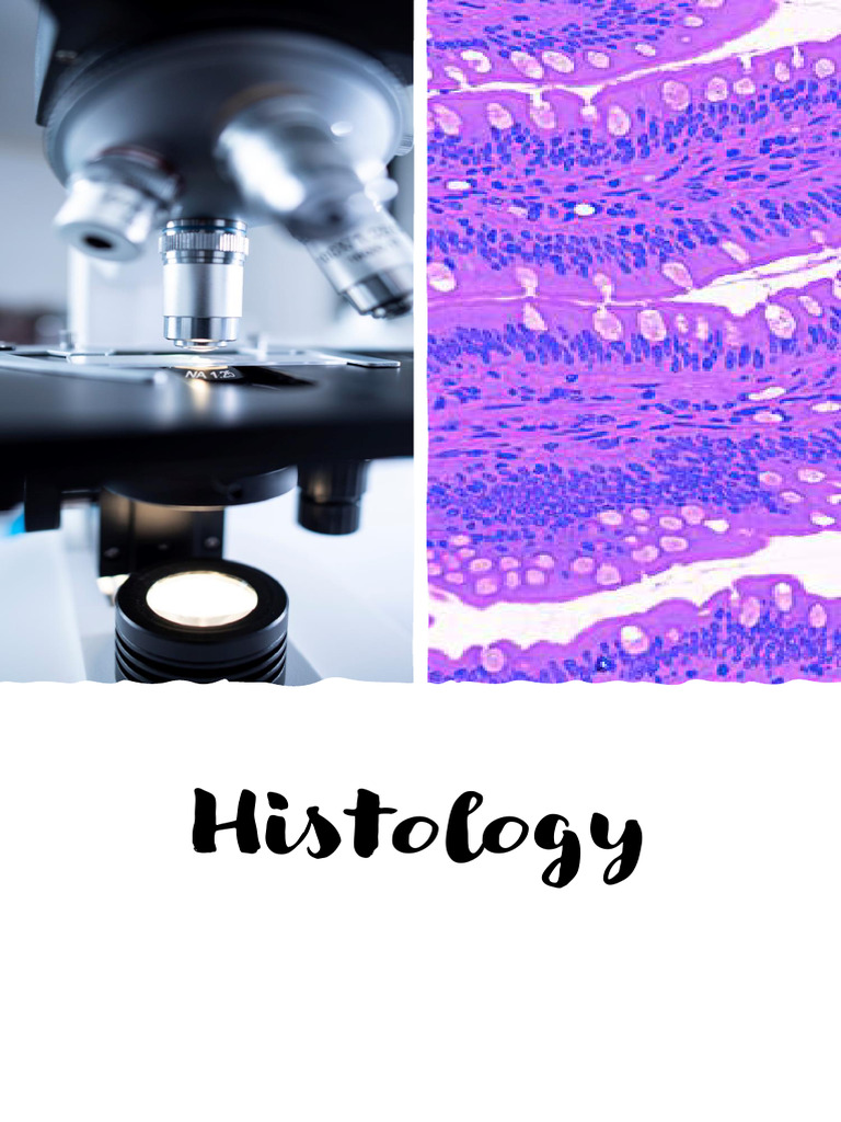Introduction To General Histology - Laboratory | PDF | Staining ...