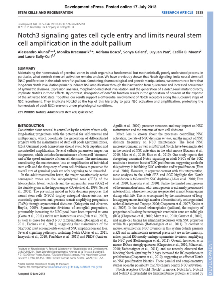 Notch3 Signaling Gates Cell Cycle Entry and Limits Neural Stem Cell ...