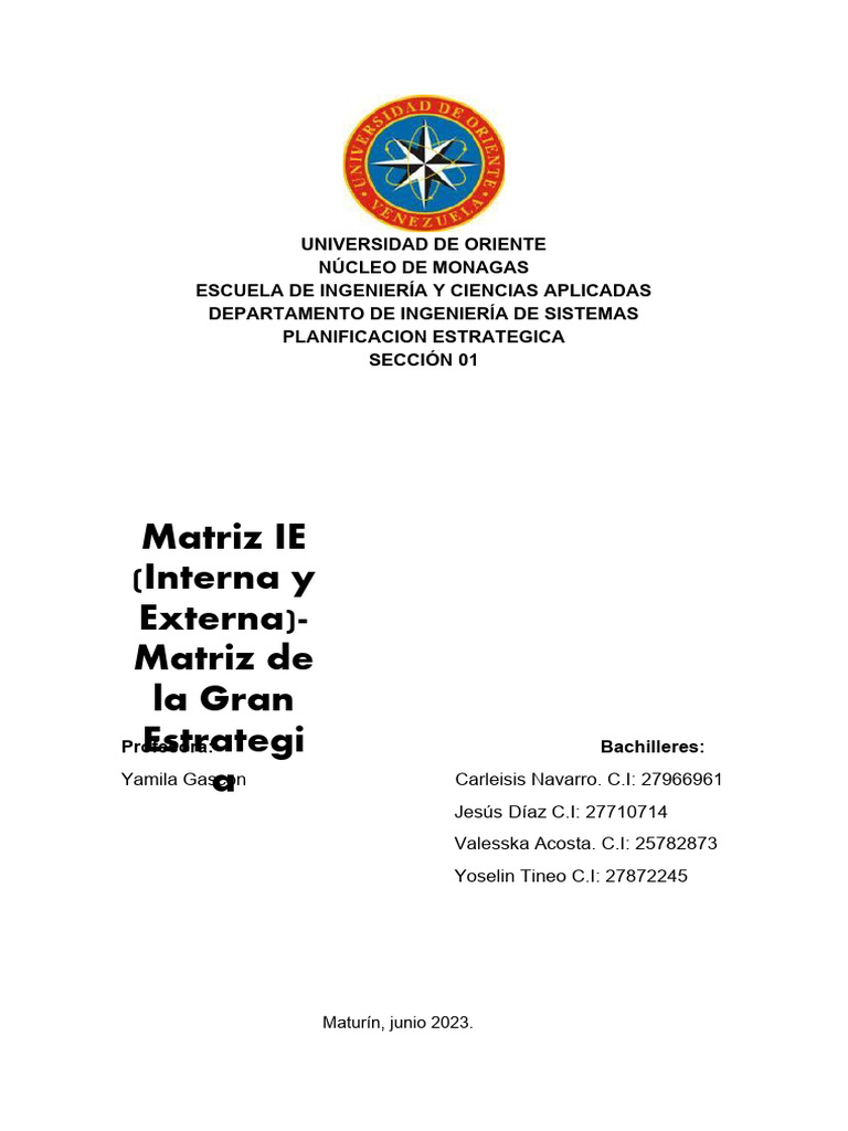 Matriz IE - y - GE | PDF | Matriz (Matemáticas) | Business