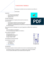 Protocole Stanish pour Tendon d'Achille | PDF